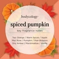 Bodycology Spiced Pumpkin Body Mist Fragrance for Women, Fall Scent, 8 ...