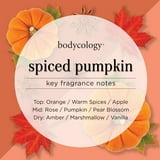 Bodycology Spiced Pumpkin Body Mist Fragrance for Women, Fall Scent, 8 ...