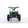 Tao Motor 40cc Gas Mini ATV for Kids, 4 Stroke, Pull Start, Disc Brake ...