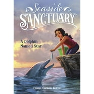 Kai The Missionary Sea Turtle Kai la tortuga marina misionera ...