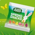 Black Forest Spring Fruit Flavored Gummy Snacks, 22 Count, 17.6 oz Box ...