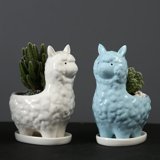 Cute Llama Succulent Planter Pot with Drainage Tray - Walmart.com