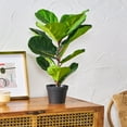 Stilwell 2' x 1' Artificial Tabletop Fiddle-Leaf Fig Tree, Green ...