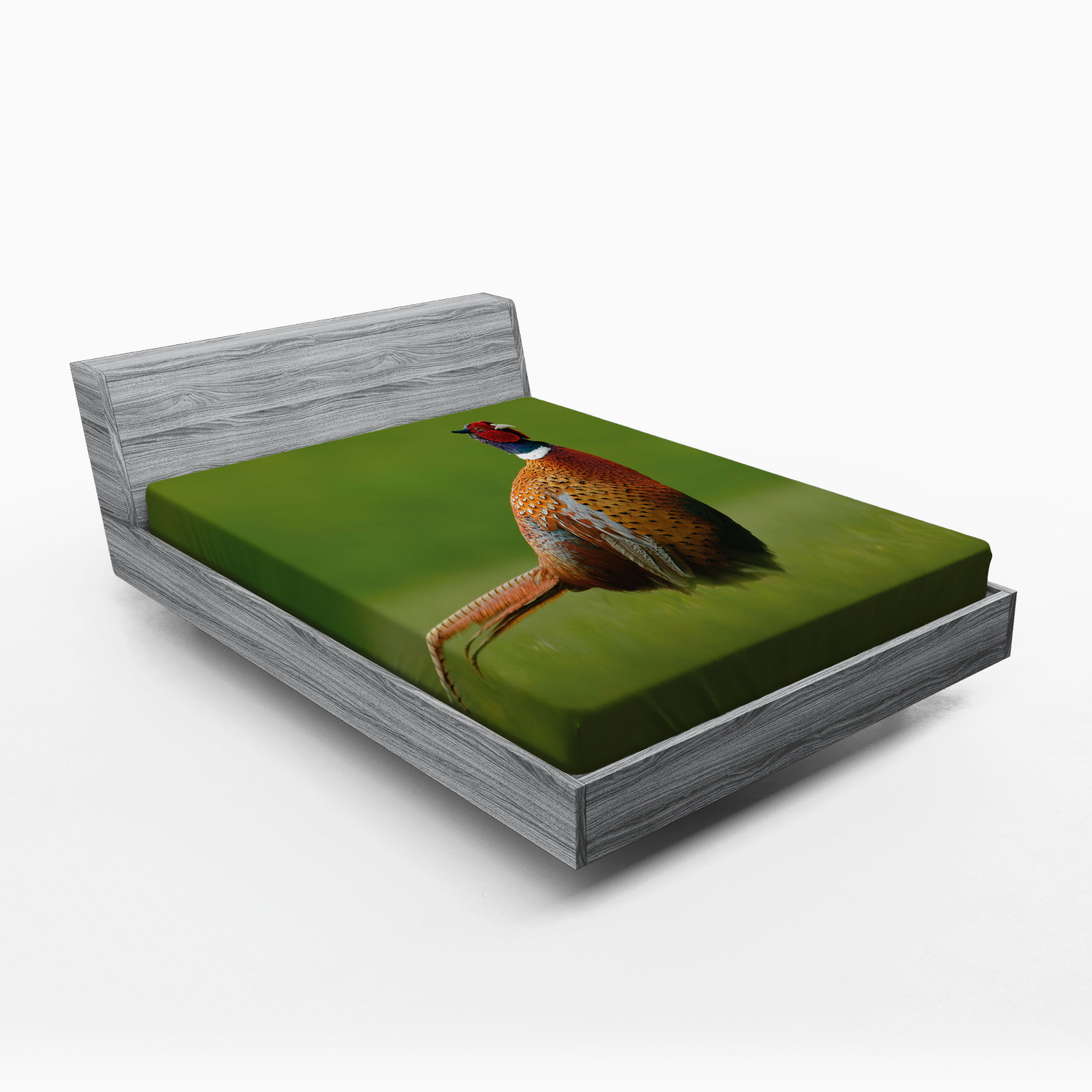 Bird Fitted Sheet, Common Pheasant Long Tail on the Grass Meadow ...