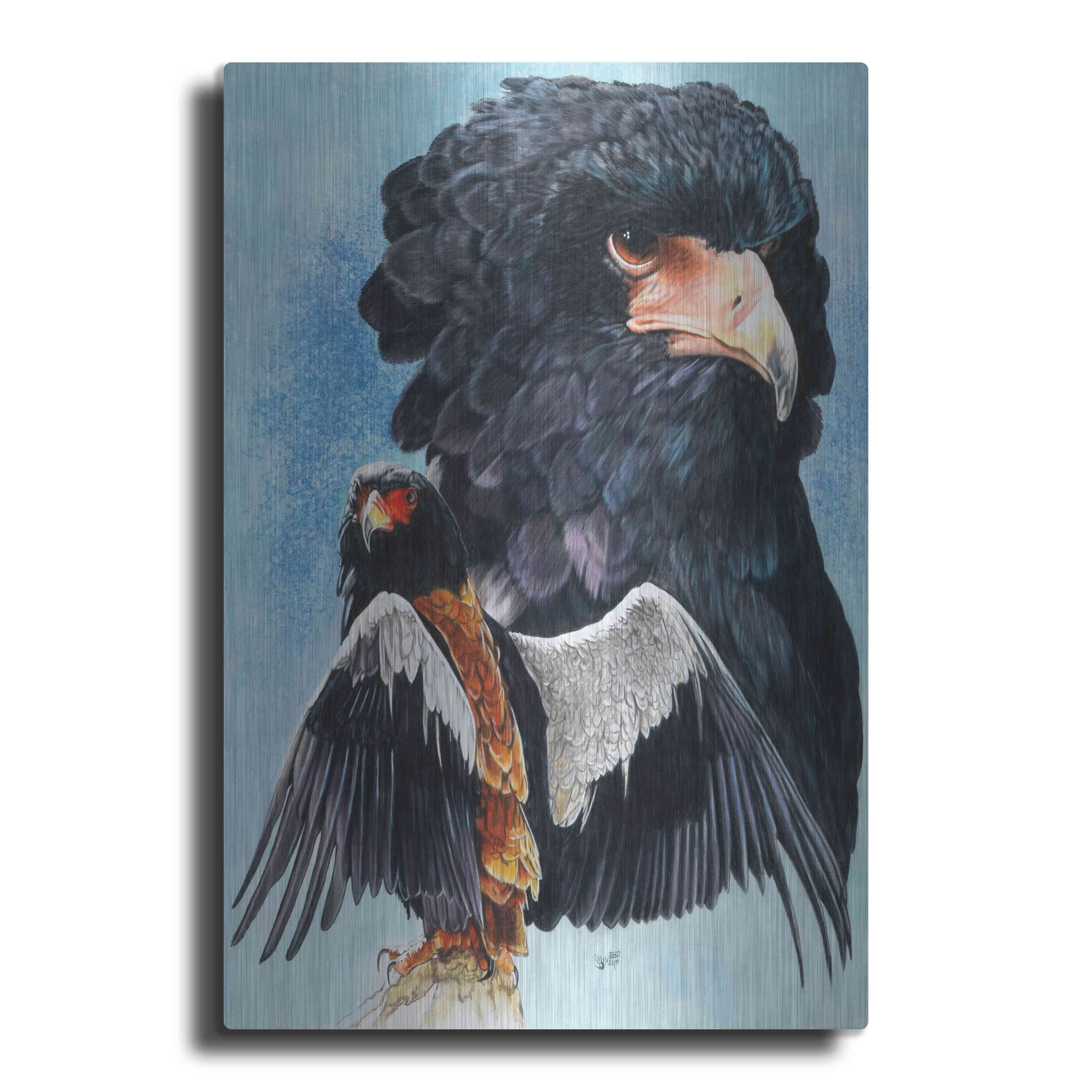 Luxe Metal Art 'Bateleur Eagle' by Barbara Keith, Metal Wall Art, 12 ...
