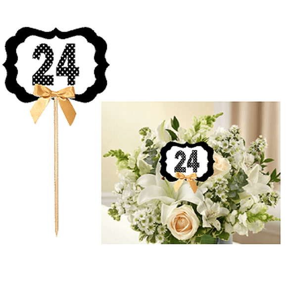 24th Birthday Themes