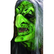 Witch Set Woochie Small Adult Halloween Accessory - Walmart.com