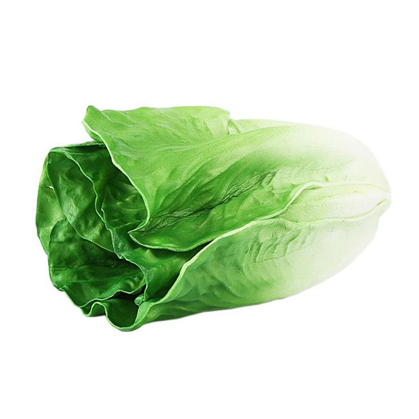 Simulation Vegetable Lettuce Model Display Photography Props Window ...