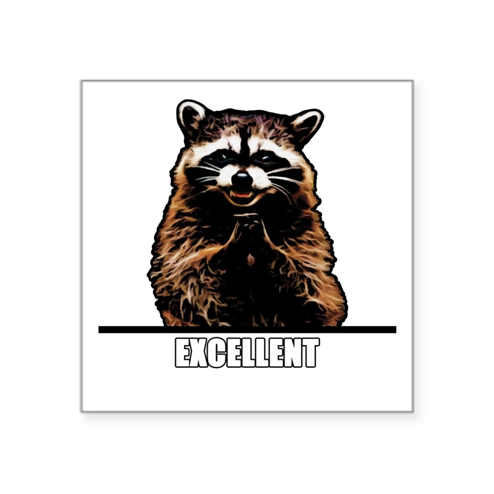 Excellent Raccoon