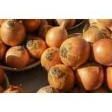 250 *Seeds SWEET WALLA WALLA ONION Allium Cepa Vegetable Seeds ...