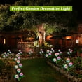 Rirool Solar Dandelion Lights, 36 LED Colorful Outdoor Garden Lights, 2 ...