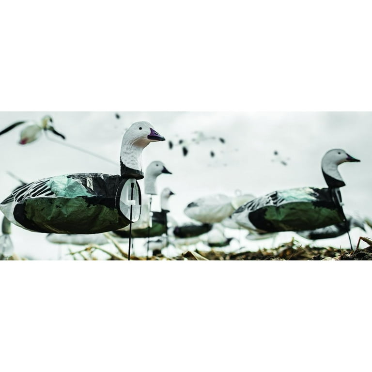 Goose Decoy Brands Sentry Head Decoys - Pack Of 12 Realistic Goose ...