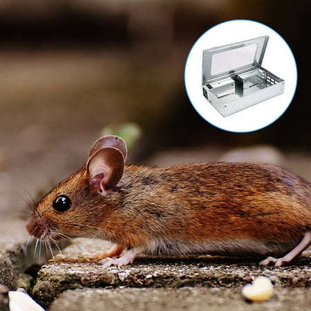 2pcs Mouse Traps Humane Mice Catcher No Kill Mouse Catching Box Mice ...