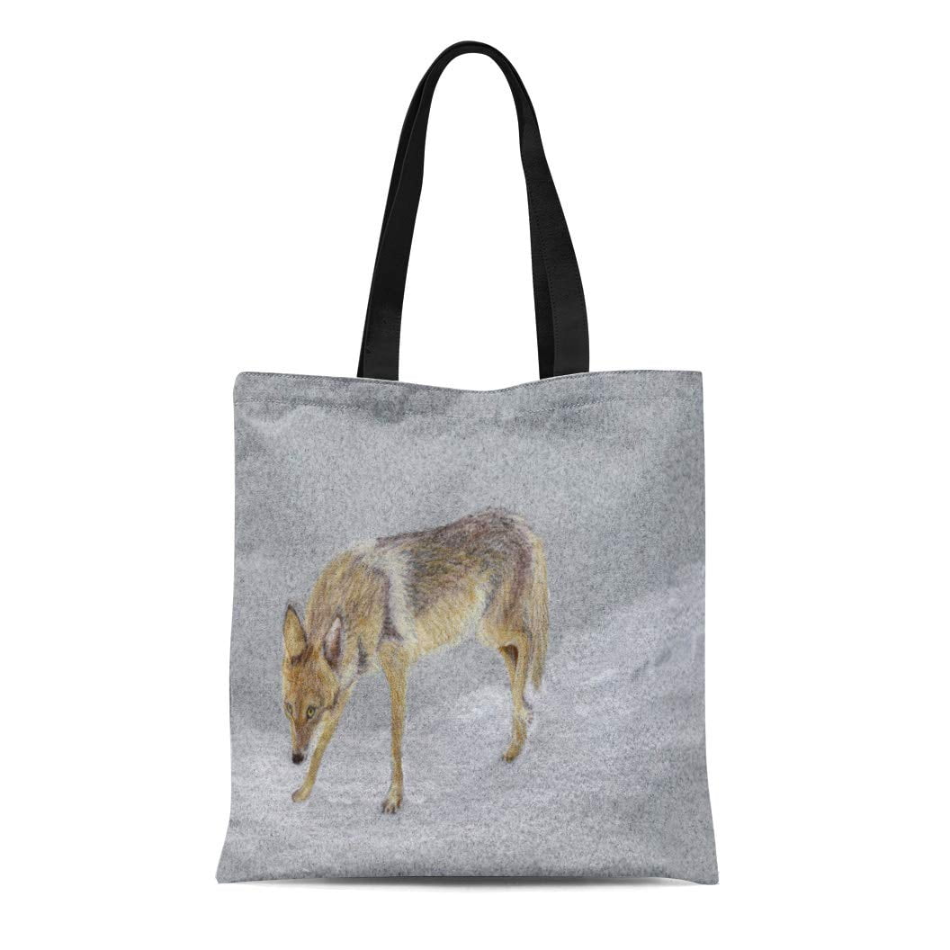 SIDONKU Canvas Tote Bag Color Coyote Pencil Drawing Wild Wildlife ...