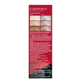 Revlon Colorsilk Beautiful Color Permanent Hair Color 3 Pack, 82B ...