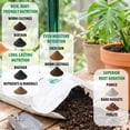 Premium Indoor Plant Soil with Enhanced Drainage and Optimal Nutrient ...