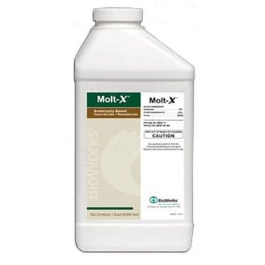 Zylam Liquid Systemic Insecticide for Root Pests - 1 Quart - Walmart.com