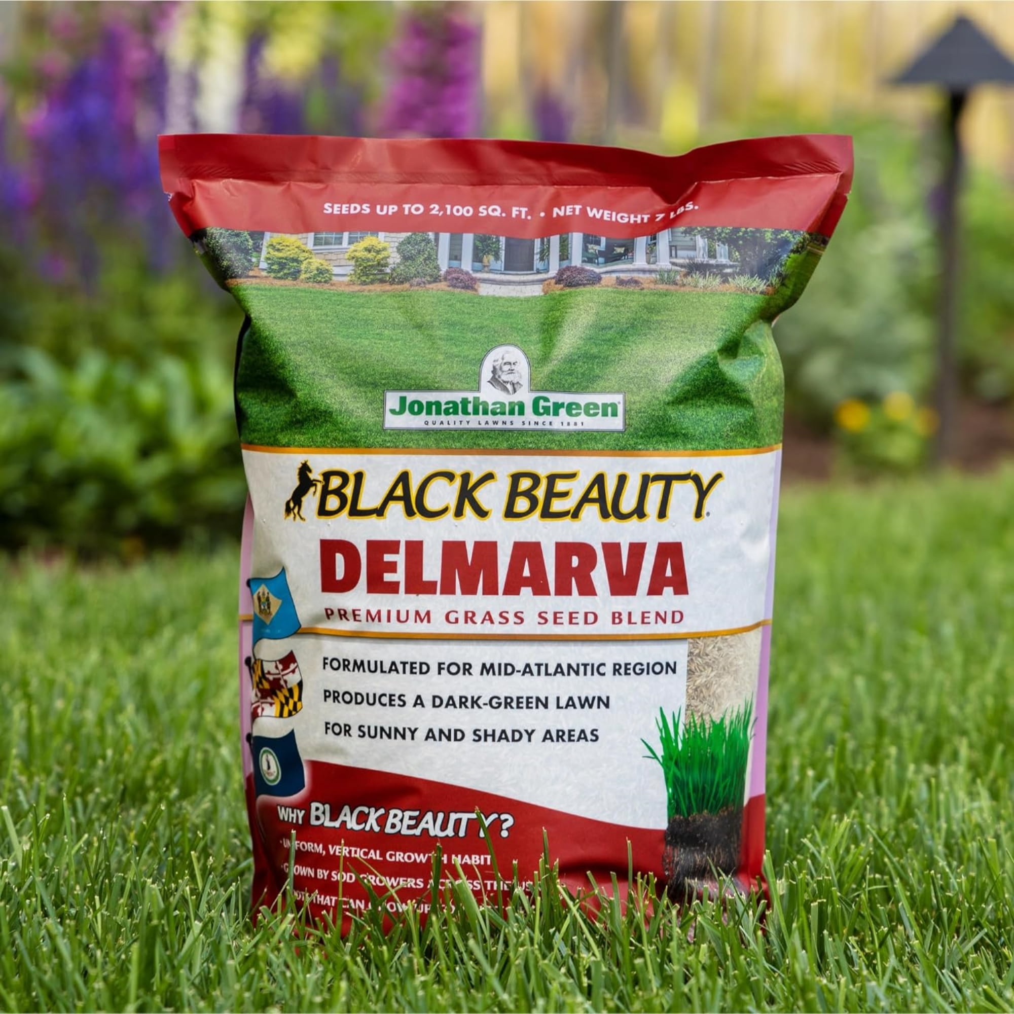 Jonathan Green Black Beauty Delmarva Mix Grass Seed 25lb