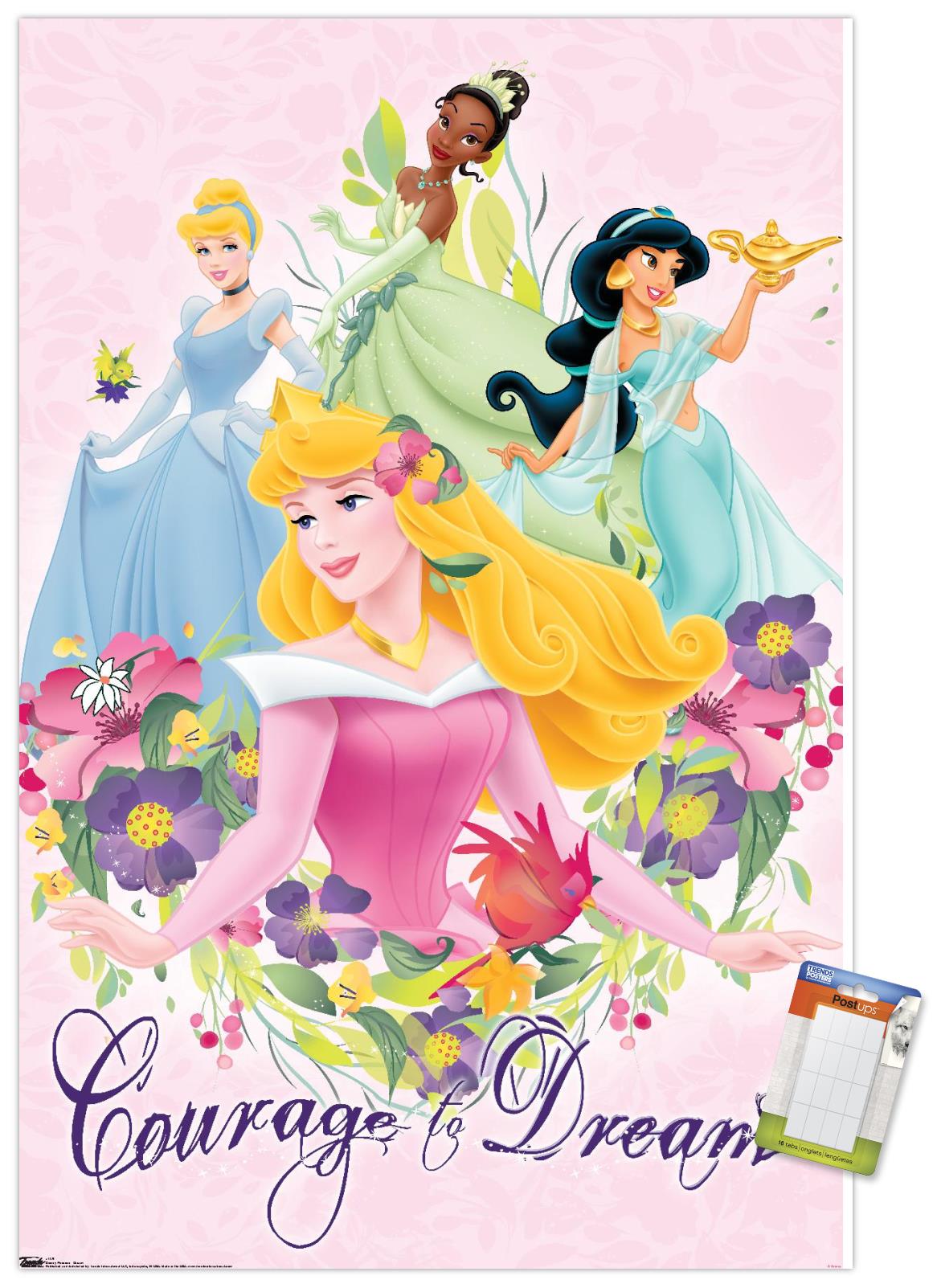 Disney Princess - Courage and Dream Wall Poster, 22.375" x 34 ...