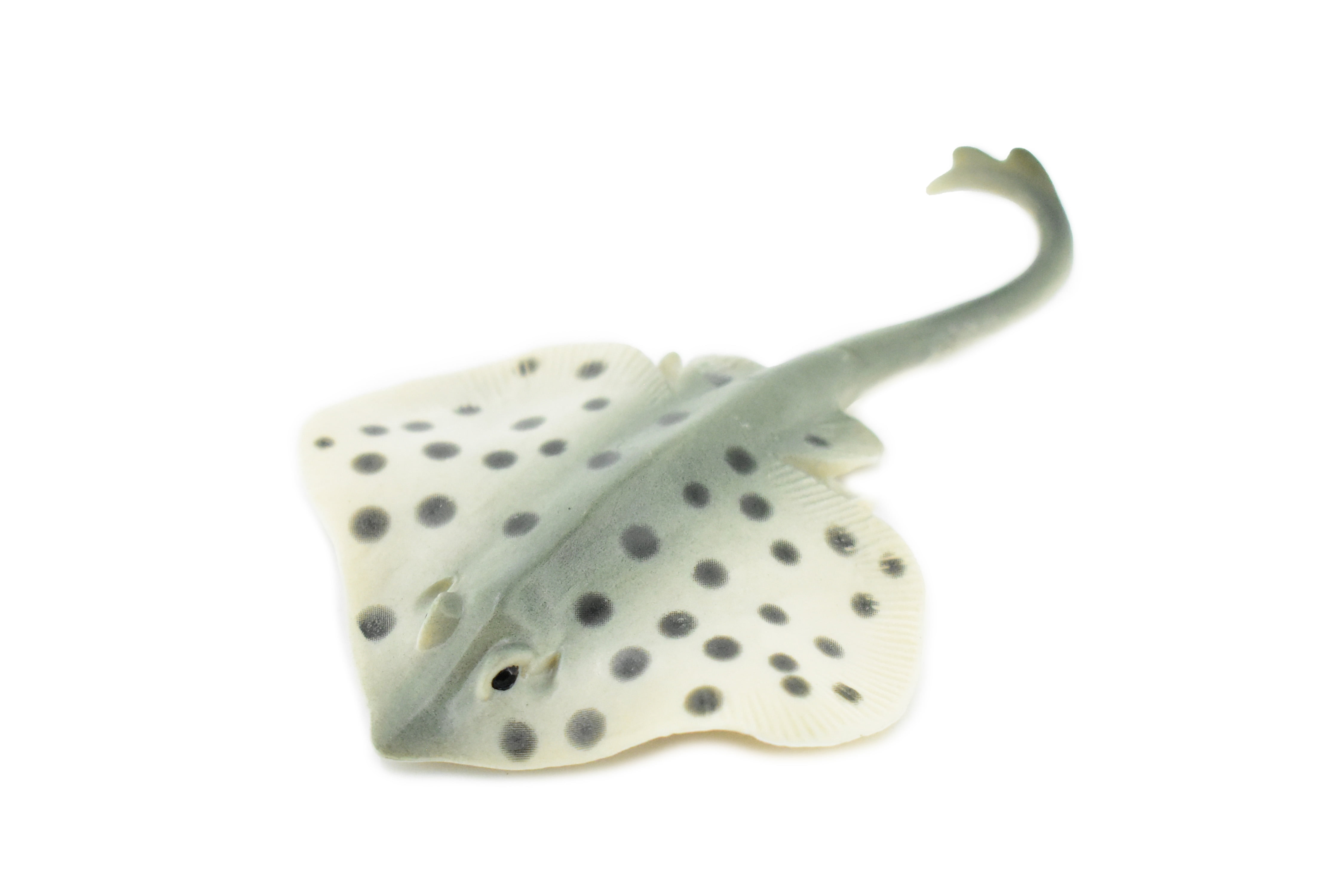 Sting Ray, Spotted Stingray, Museum Quality, Rubber Fish, Hand Painted, Realistic Toy Figure ...