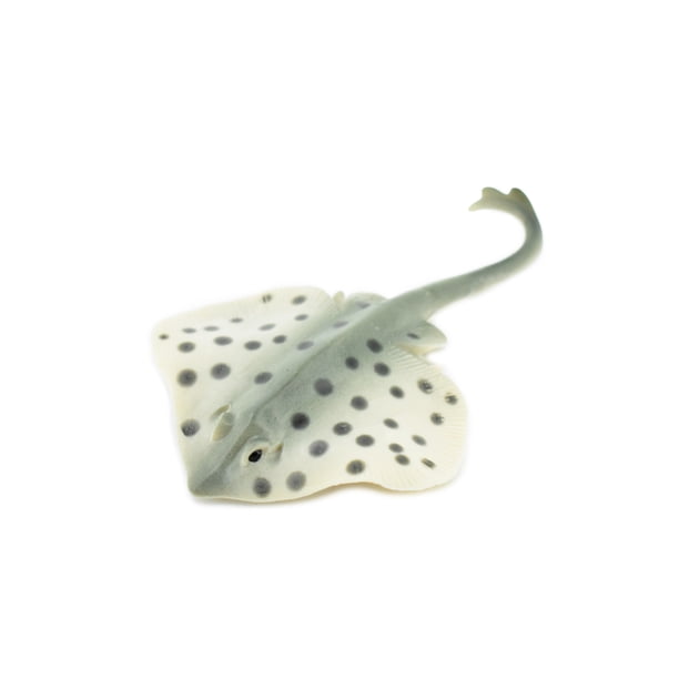 Sting Ray, Spotted Stingray, Museum Quality, Rubber Fish, Hand Painted ...