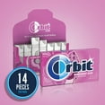 Orbit Bubblemint Large Value Pack Sugarless Chewing Gum, 14 pc, 12 ct - Walmart.com