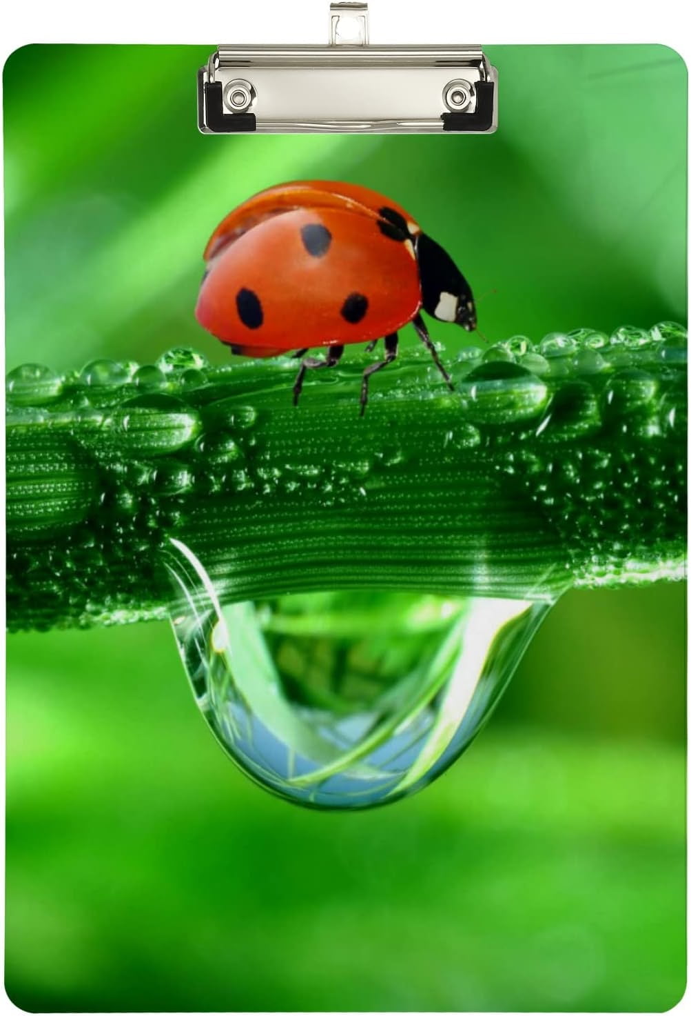 ZHANZZK Cute Ladybugs Clipboard Hardboard Wood Nursing Clip Board and ...