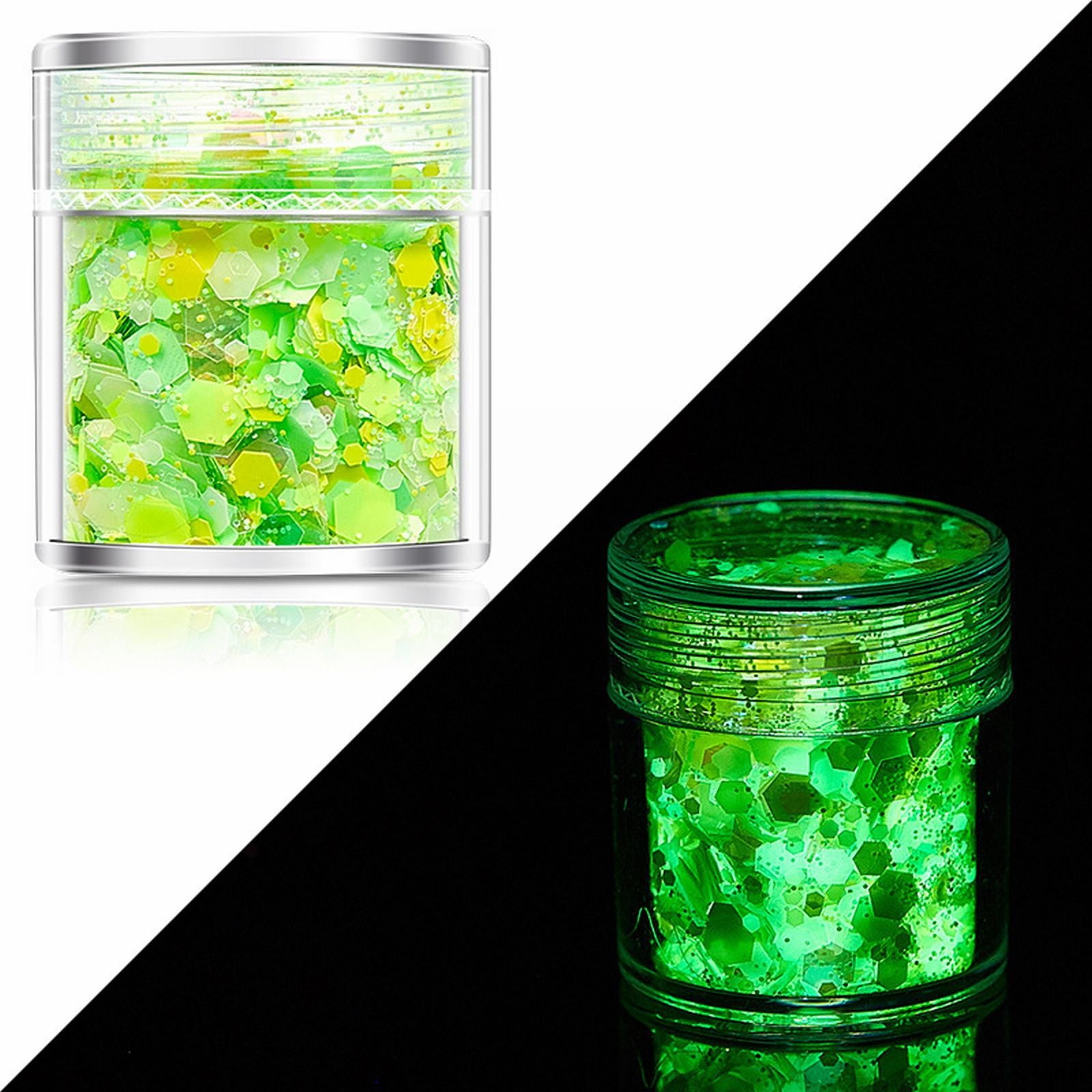 ERTUTUYI Night Fluorescence Nail Glitter Powder Flake Shiny Charms ...