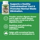 Animals' Apawthecary Tinctures Phytomucil 29.57 gm Powder - Walmart.com