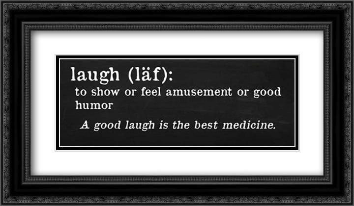 Laugh Definition 2x Matted 24x14 Black Ornate Framed Art Print by Quach ...