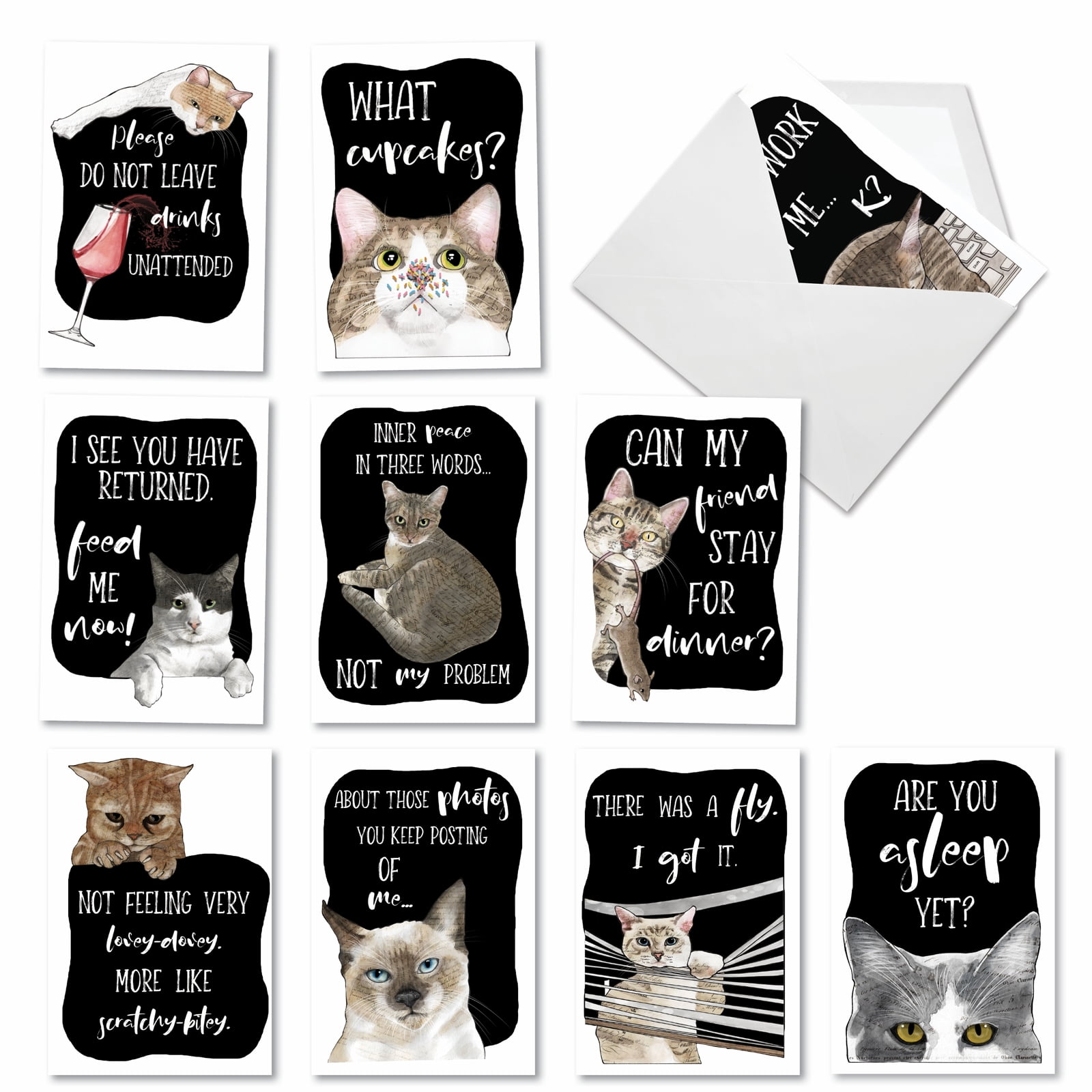 10 Funny All Occasion Blank Greeting Cards Pack - Cat Antics All ...