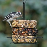 Audubon Park Outdoor Stacker Wild Bird Feeder, Black Weather Resistant ...