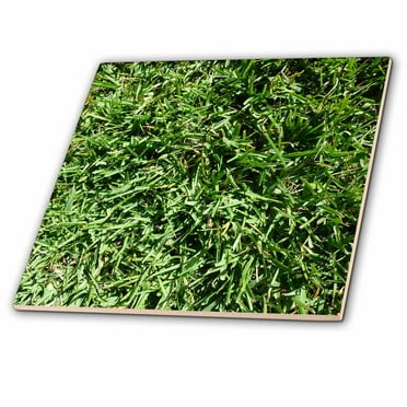 3dRose Aqua Waves- Water- Art - Ceramic Tile, 12-inch - Walmart.com