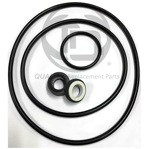 Sta Rite Pump Seal Kit