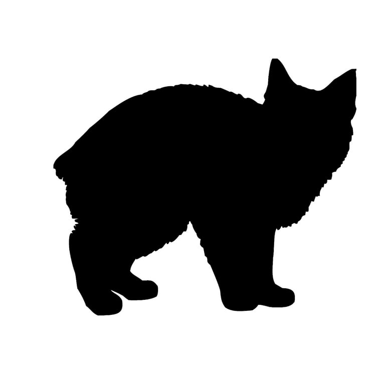 Black Manx Cat