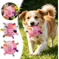 6in Squeaky Hanging Bell Dog Toy, Plush Cotton Bungee Rope Interactive ...