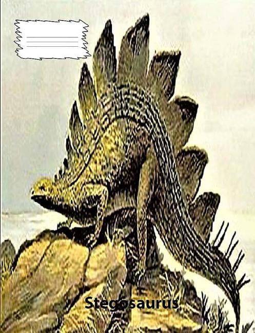 Stegosaurus Dinosaur Wide Rule Lined Paper Composition Book: Dinosaur ...