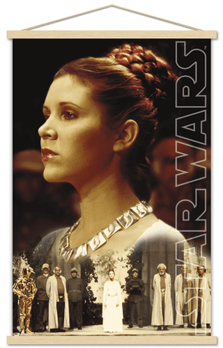 Star Wars: Saga - Princess Leia - Ceremony Wall Poster with Magnetic ...