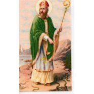 25/PKG SPANISH ST PETER - SOMBRA DE SAN PEDRO LAMINATED PRAYER CARDS ...