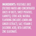 V8 Beet Ginger Lemon 100% Vegetable Juice, 46 fl oz Bottle - Walmart.com
