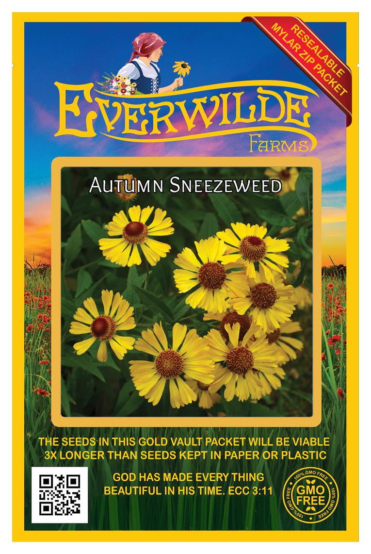 Everwilde Farms - 1000 Autumn Sneezeweed Native Wildflower Seeds - Gold ...
