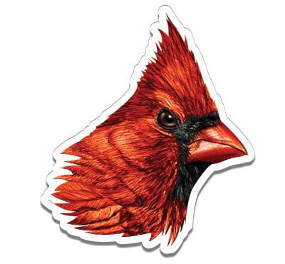 Cardinal - 3" Vinyl Sticker - For Car Laptop I-Pad Phone Helmet Hard ...