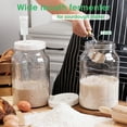 2 Pack 1 Gallon Syntic Glass Fermentation Jars with Air Lock, Large ...
