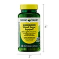 Spring Valley Advanced Formula Blood Sugar Support Dietary Supplement ...