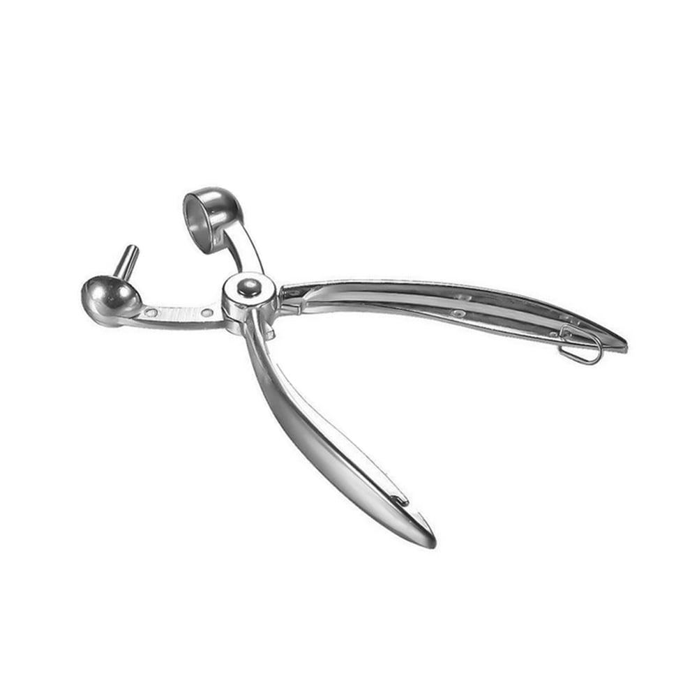 Click here for Amosfun Fruit Cherry And Olive Pitter prices