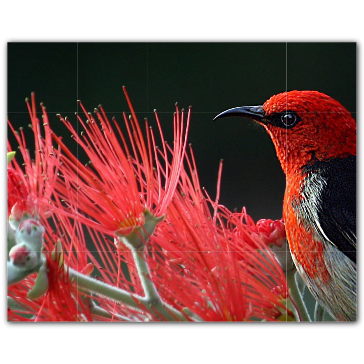 Picture-Tiles.com: Bird Ceramic Tile Wall Mural WAL500193-54M. 30"W x ...