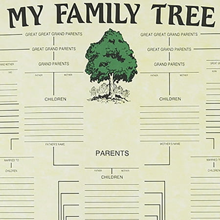 Large Genealogy Family History Tree Genetic Ancestry Chart Big Poster ...
