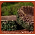 2pcs Tree Trunk Food/Water Dish for Amphibians, Reptiles and Other ...