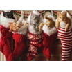 Avanti Press Kittens In Christmas Stocking Box of 10 Cat Christmas ...