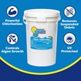 In The Swim 3'' 5-in-1 Multi-Tabs – Pool Care Chloride Tablets ...